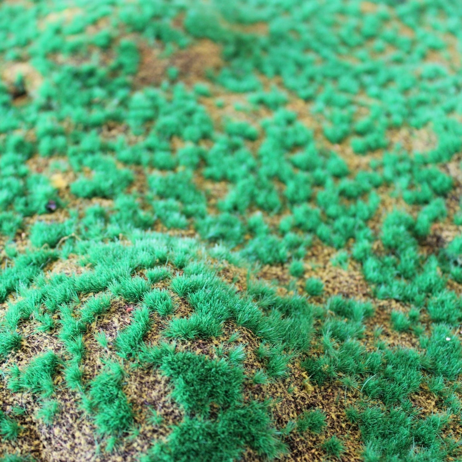 Musgo Artificial Dark Green - JardinVertical.es